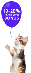 Petsy Pet Insurance for Australian dogs, cats, kittens, puppies, indoor ...