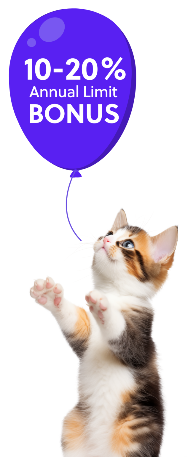 Petsy Pet Insurance for Australian dogs, cats, kittens, puppies, indoor ...