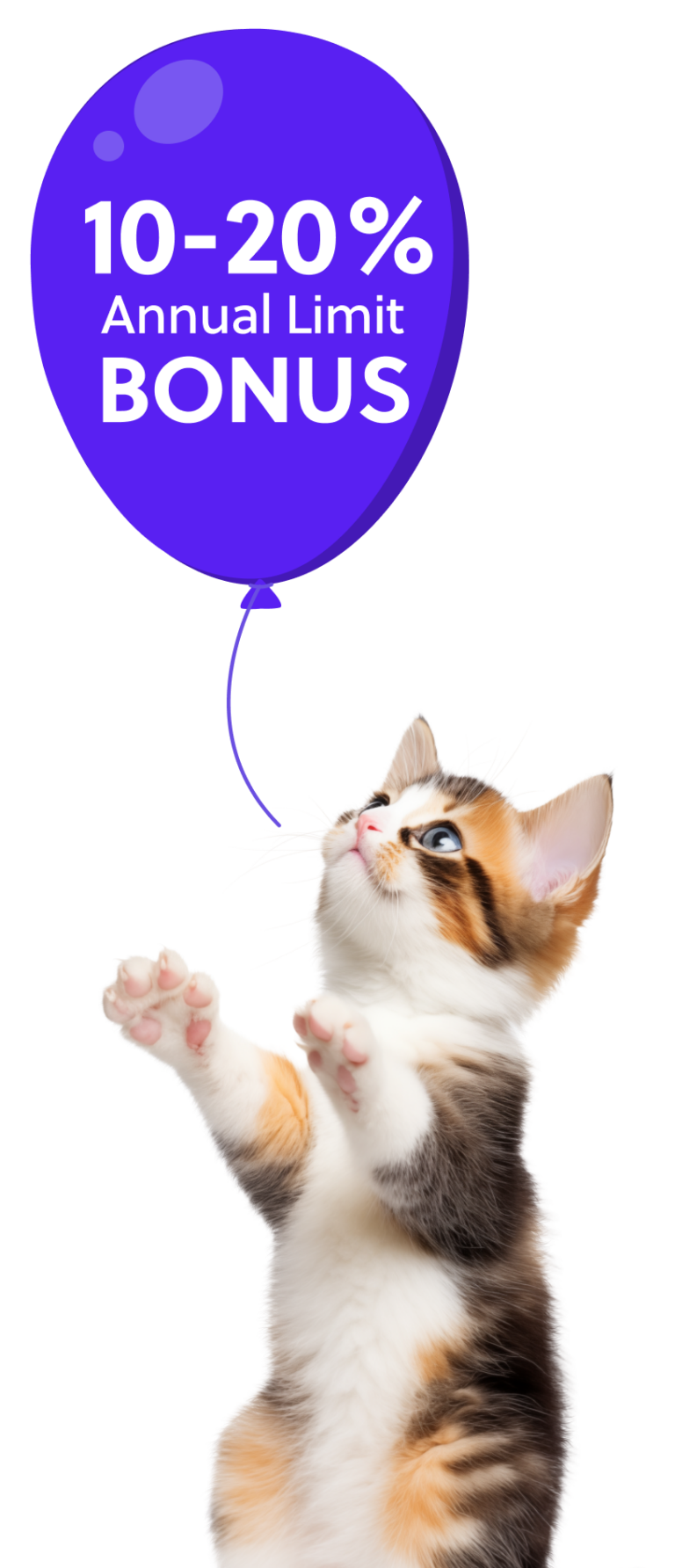 Petsy Pet Insurance for Australian dogs, cats, kittens, puppies, indoor ...