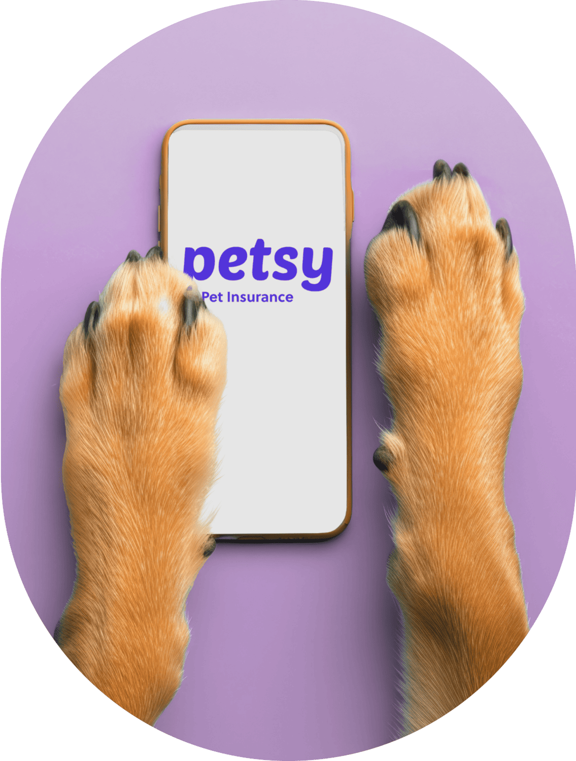 Petsy Pet Insurance for Australian dogs, cats, kittens, puppies, indoor ...