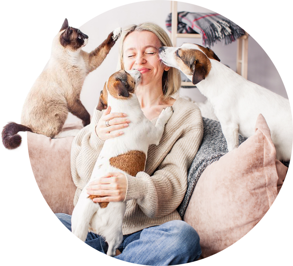 Is Pet Insurance Worth it? A Guide for Pet Parents - Petsy Pet Insurance